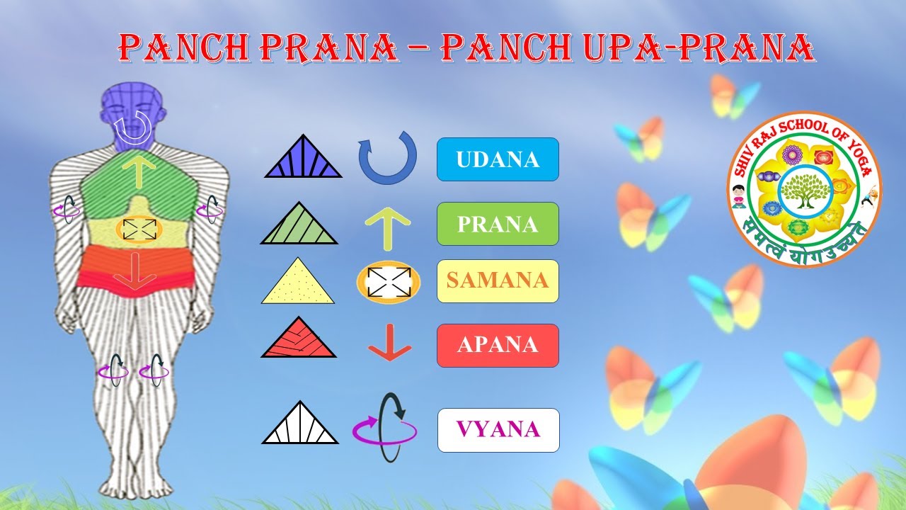 Pancha Prana Prabhaavanti Tasmat ! – HIndu Astrology Consultancy ...